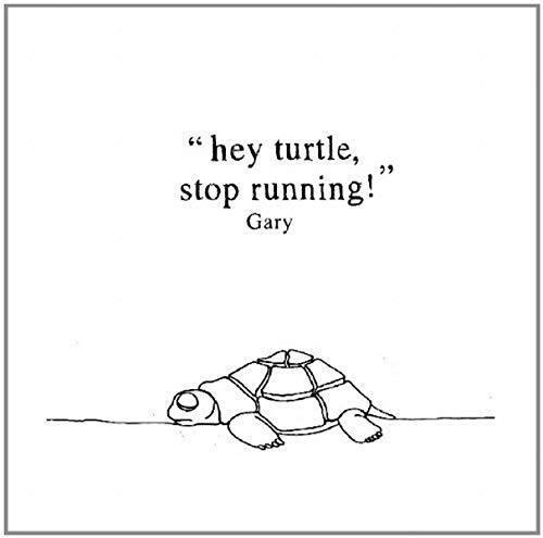 Gary Hey Turtle, Stop Running! (Vinyl) 12" Album 9006472019800 | eBay