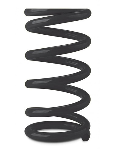 Afco Racing Products Coil Spring Coil-Over 2.625 in ID 10.000 in Lengt ...