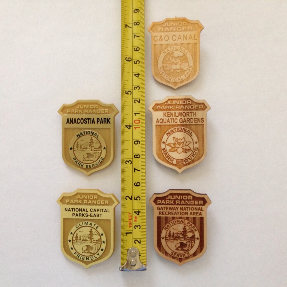 Junior Ranger Badge Park NHP NHS NPS NRA Wood Plastic Set Of 5 Rare USA ...