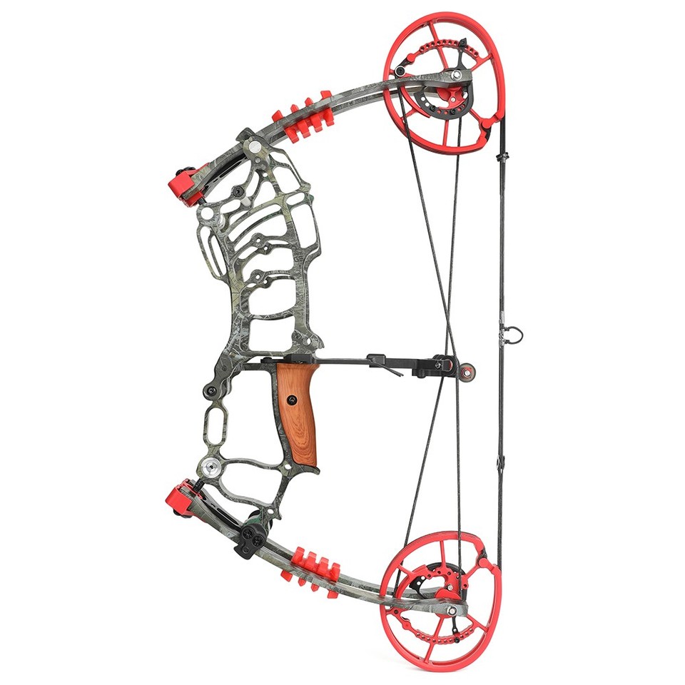 Dual-Use Compound Bow 30-60lbs Let-off 80% Hunting Shooting Target RH ...