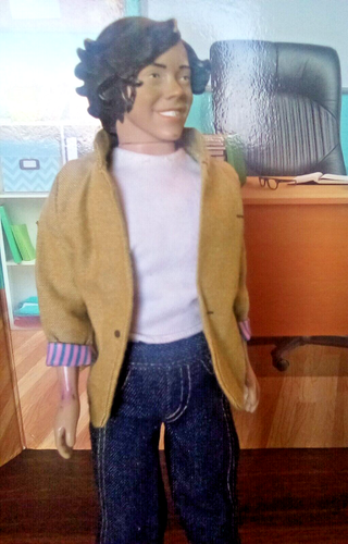 One Direction Harry Styles Collector Doll Hasbro 2011 | eBay