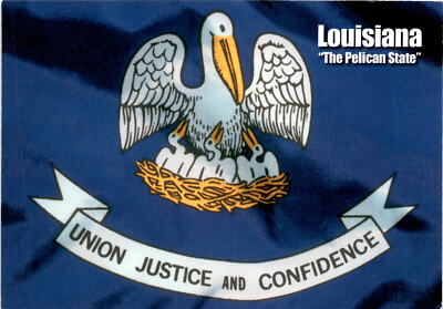 Louisiana, Pelican State, Brown Pelican, Magnolia, Bald Cypress, Justic ...