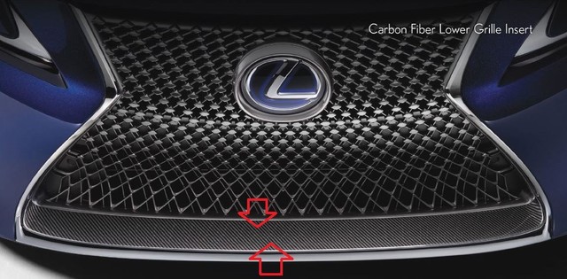 Lexus OEM Factory Carbon Fiber Front Lower Grill Insert 2018 Lc500 ...
