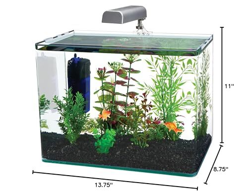 Water-World Radius Desktop Nano Aquarium Kit – Come with LED Light, 5 ...