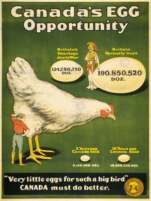 PROPAGANDA INDUSTRY AGRICULTURE EGG CHICKEN CANADA WAR WWI ART POSTER ...