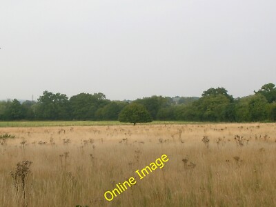 Photo 6x4 Ungrazed pony paddocks on the edge of Woodley Woodley Green ...