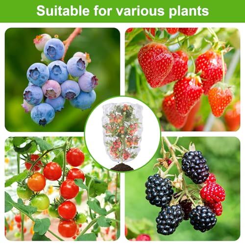 2 Pack Garden Plant Fruits Tomato Blueberry Bushes Protection 3.9 x 4.6 ...
