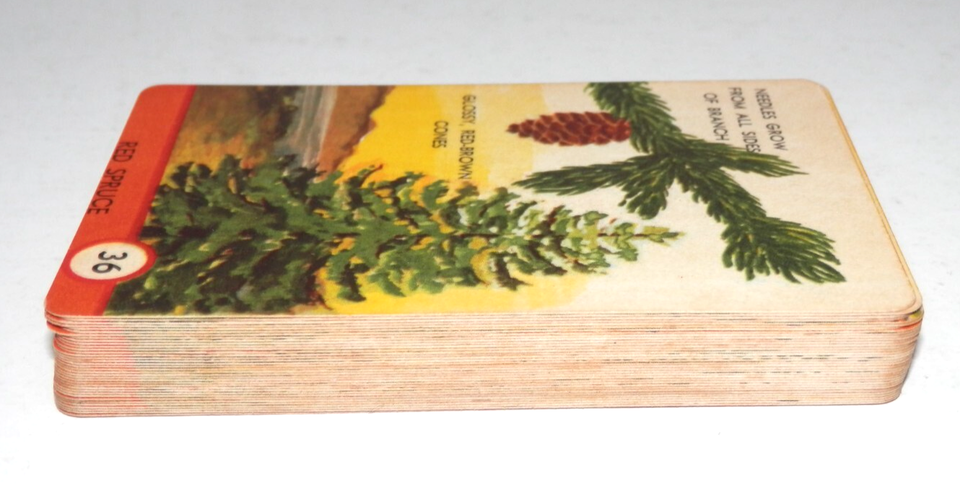 Vintage Tree Spotter Card Set • 36 Ed-U-Cards Set Identify Leaves Fruit ...