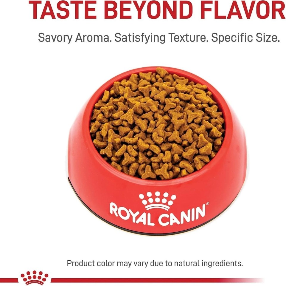 Royal Canin Bengal Adult Dry Cat Food, Feline Breed Nutrition, 7 lbs | eBay