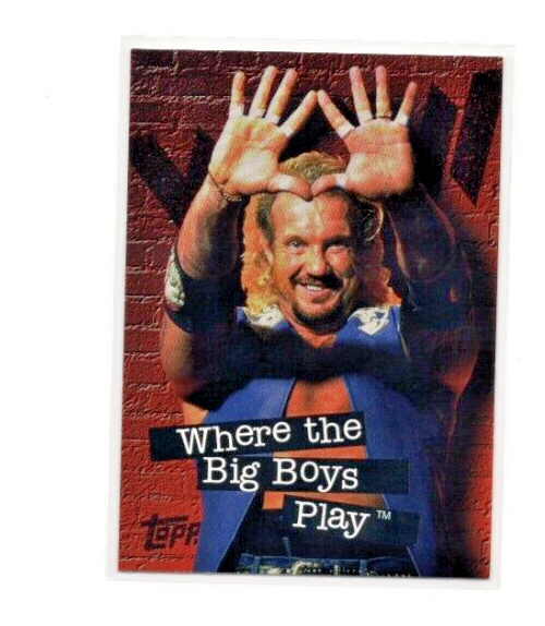 1998 TOPPS WCW/NWO Series 1 Promo P4 Diamond Dallas Page | eBay
