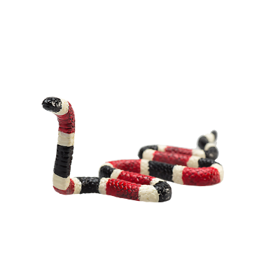 .Mojo CORAL SNAKE Wild zoo animals play model figure toys plastic ...