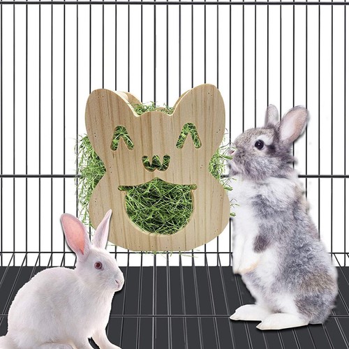 Rabbit Grass Rack Grass Dispenser Easy Clean Creative Chew | eBay UK