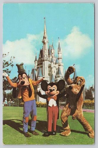 Mickey Goofy Pluto Castle Disney World vintage chrome Postcard *c1 | eBay