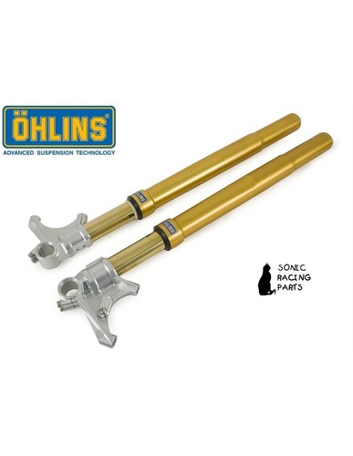 FGRT 201 GOLD FORK OHLINS R&T 43 NIX KAWASAKI ZX-10R NINJA 2011 2015 | eBay