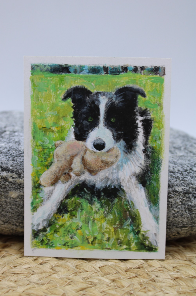 ACEO Original Artwork Border Collie Dog Art Cute Puppy & Teddy ~by ...