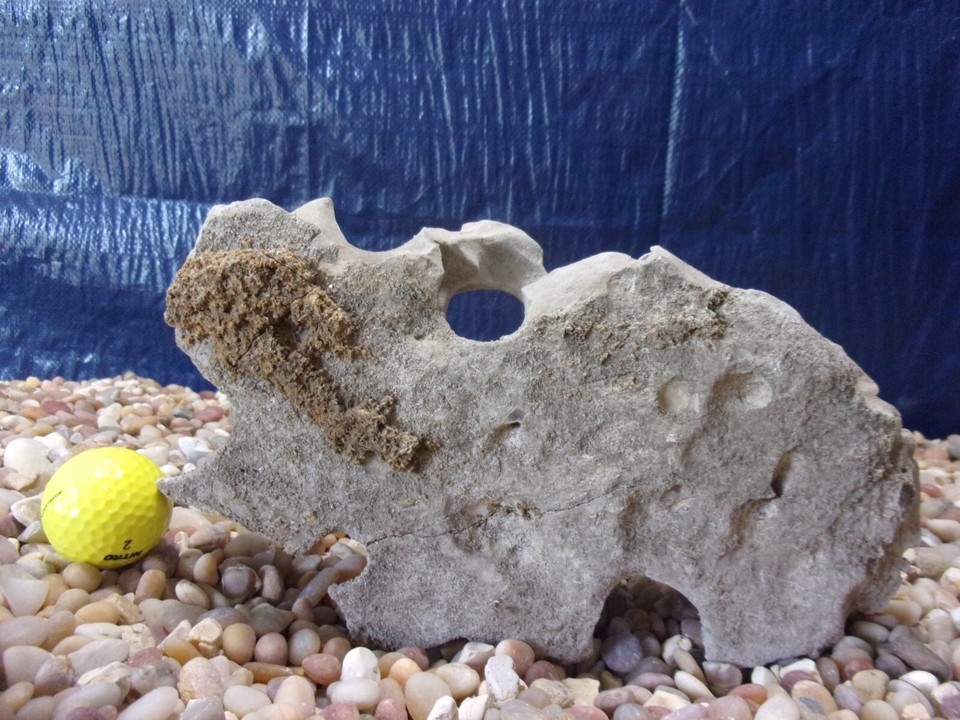 06# Texas/TN Holey Rock 06"x12"x03" Aquarium Reptile Honeycomb ...