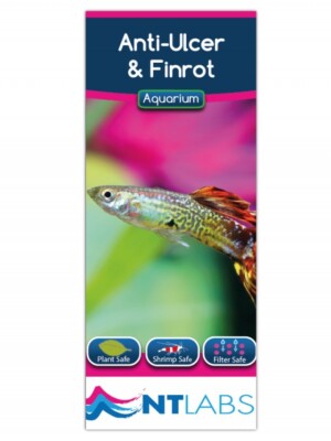 NT Labs Aquarium Treatment - Anti-Fungus Bacteria Parasite Fin-Rot ...