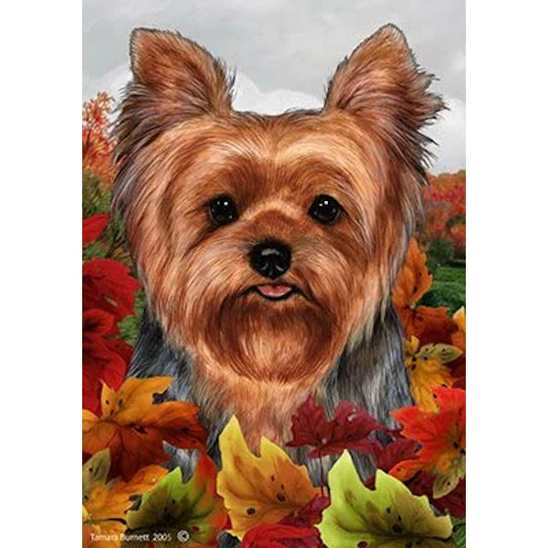 Yorkie Puppy Cut