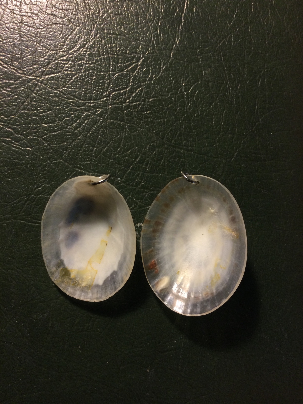 Perry Winkle Shells Jewerey | eBay