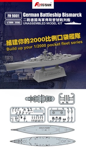 Flyhawk 1/2000 German Battleship Bismarck (FH 9001) | eBay