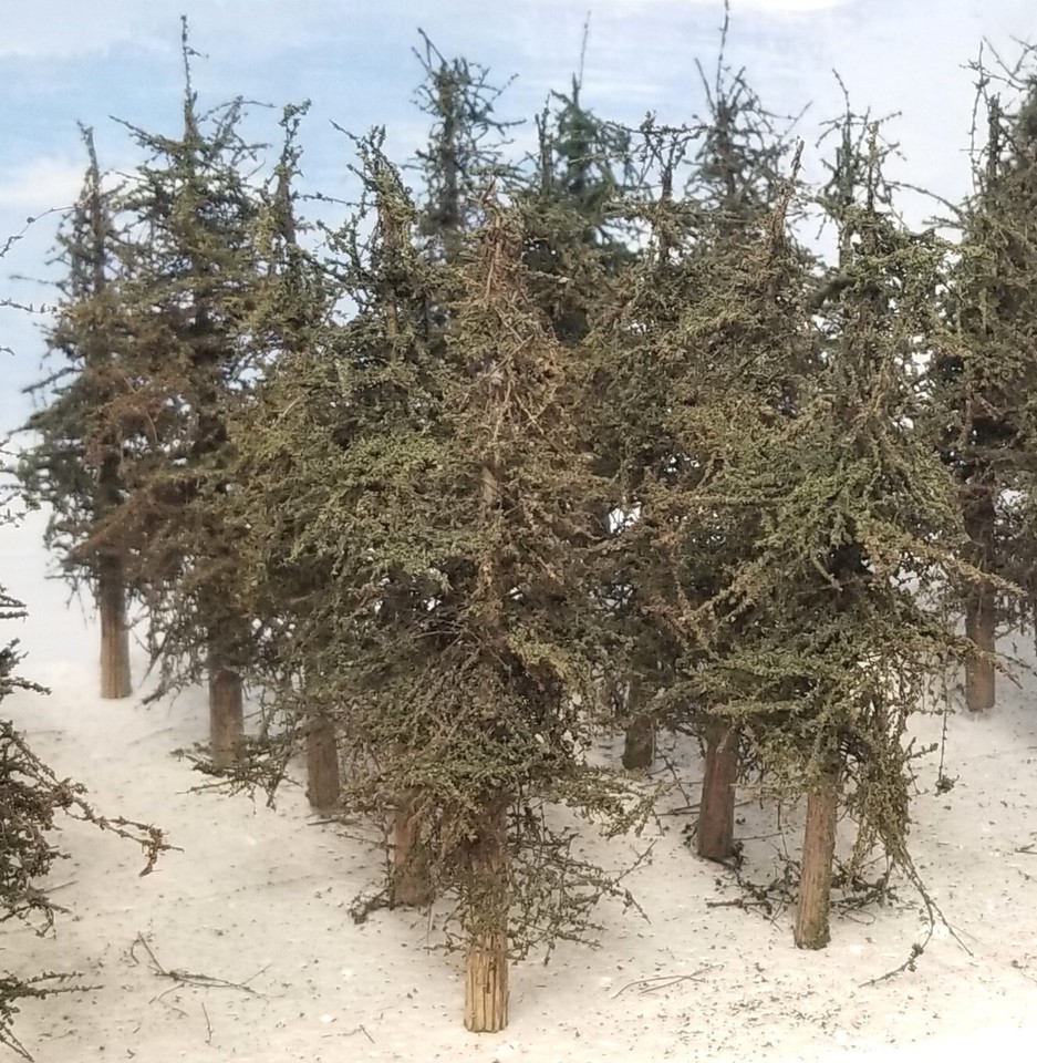 Model Fir Trees, 4"-6", EIGHT, ALL WOOD Handmade USA, HO-N-O-S scales ...