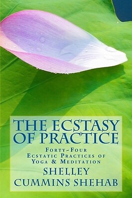 The Ecstasy Practice Forty-four ecstatic yoga practices by Shehab ...