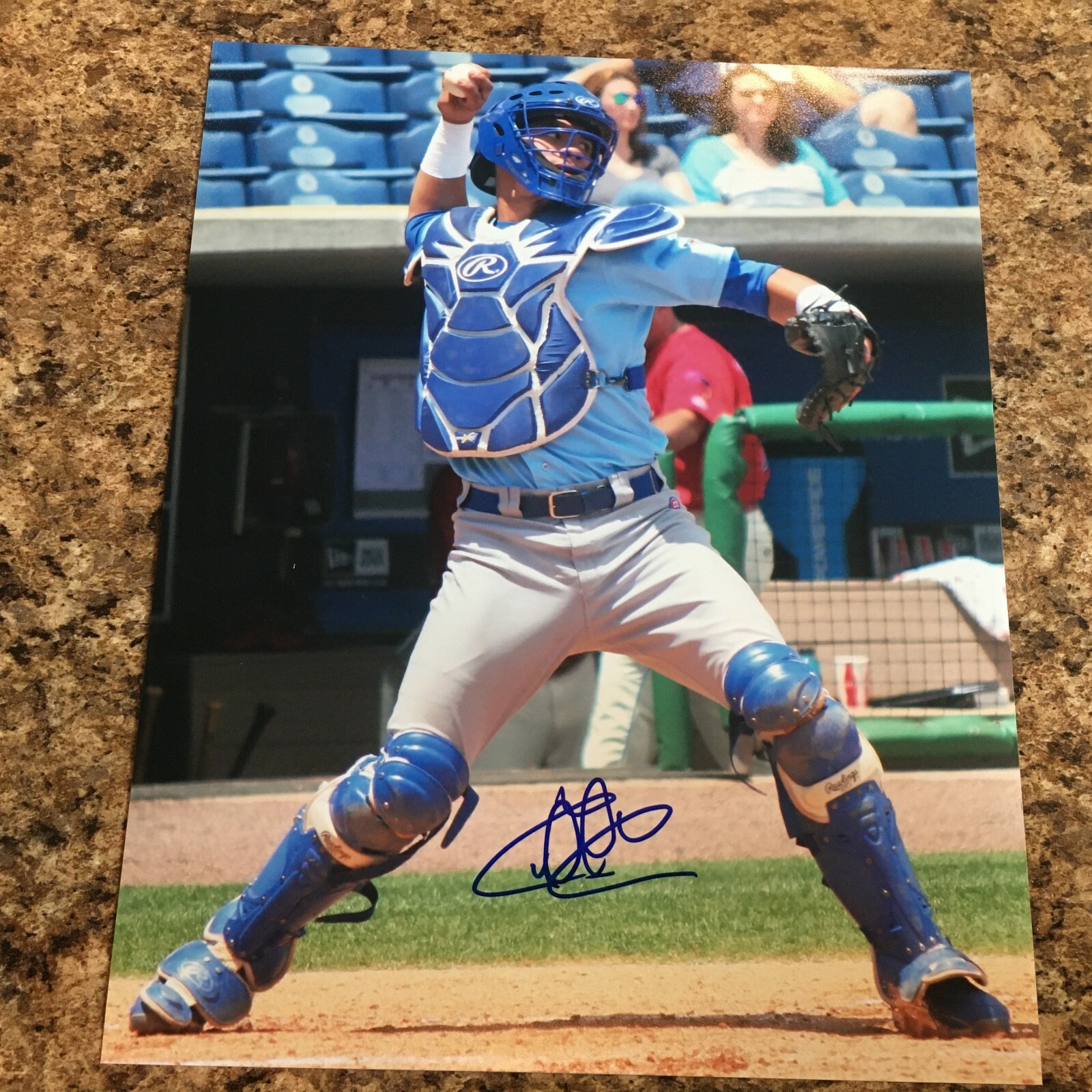 Willson Contreras Signed 8x10 Photo Chicago Cubs Autograph | eBay