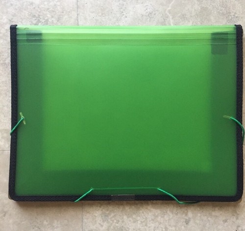 Filexec Single Pocket Expanding File, Letter, Elastic Closure, Asst ...