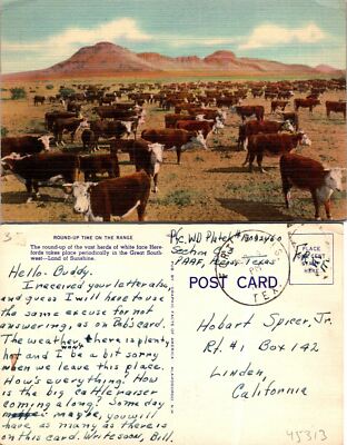 Round-up Time on the Range Postcard Used (45313) | eBay