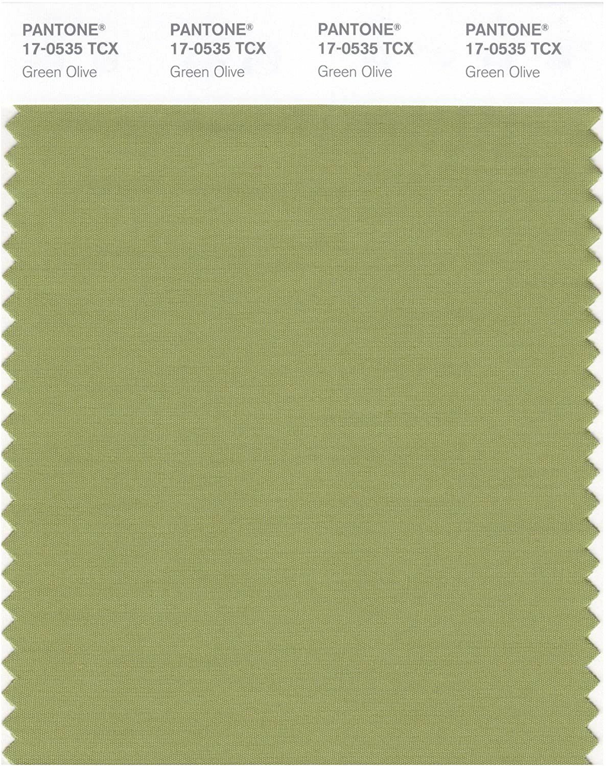 Olive Green Color Swatches
