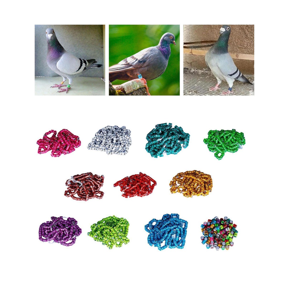 Bird Identification Foot Rings 100PC Aluminum Pigeon Leg Rings - 2025 ...