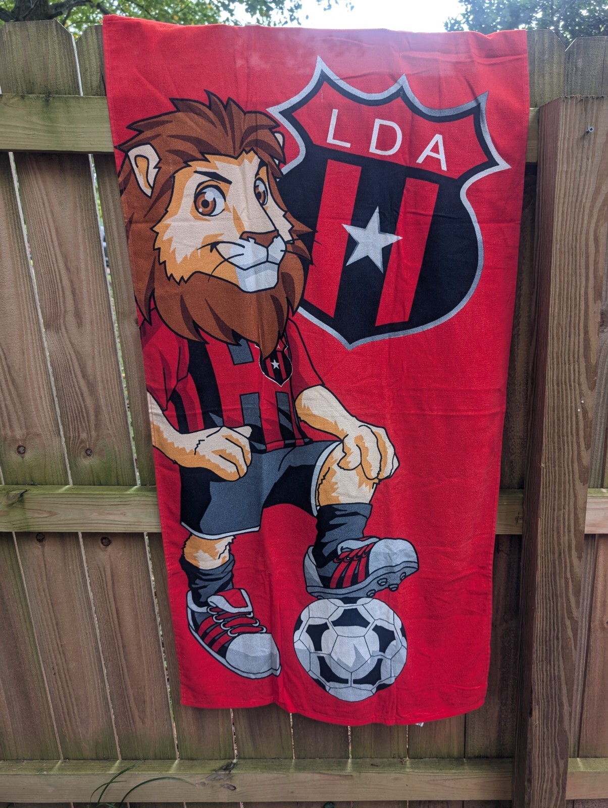Liga Deportiva Alajuelense LDA Costa Rica Soccer Beach Towel 55"x29" | eBay