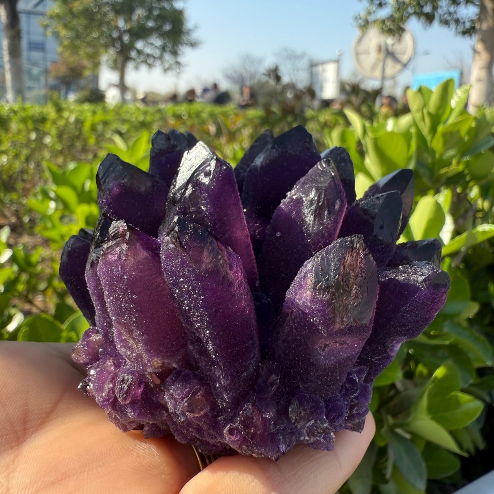 200g+ Natural Amethyst Quartz Cluster Crystal Mineral Healing Rock Stone1pc | eBay