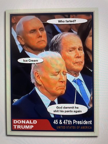 Donald Trump 2024 “Team Trump” Custom ACEO Card MAGA Buh Bye Poopy ...