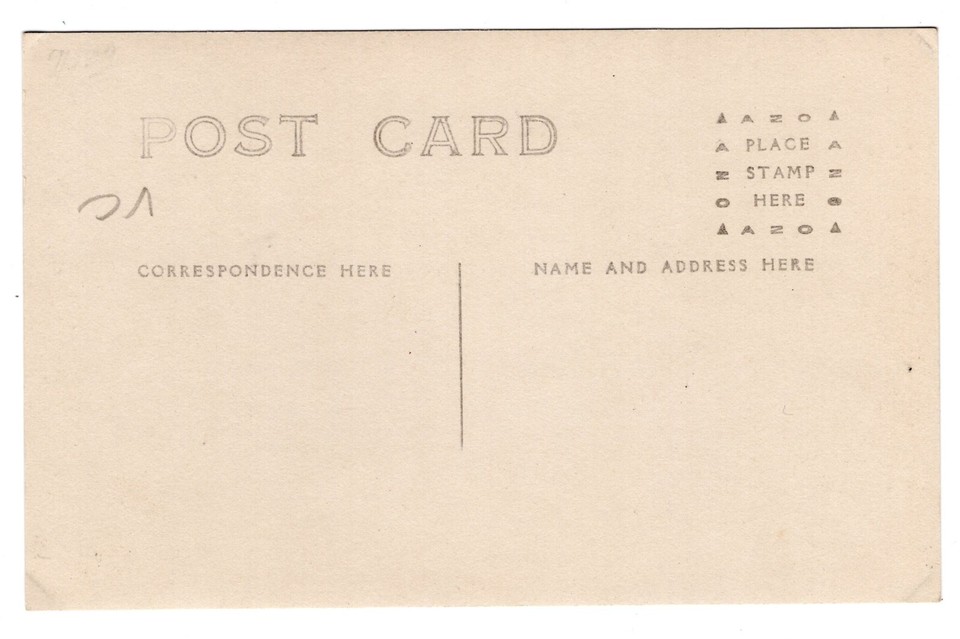 Cheboygan MI American & Adams Express Co Deer RPPC Real Photo Postcard ...