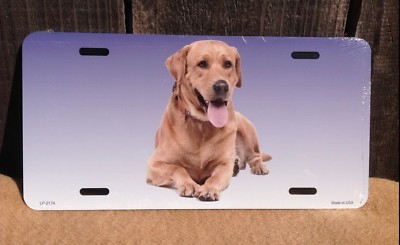 Yellow Labrador Retriever Pet Animal Dog Lovers Novelty Auto License ...