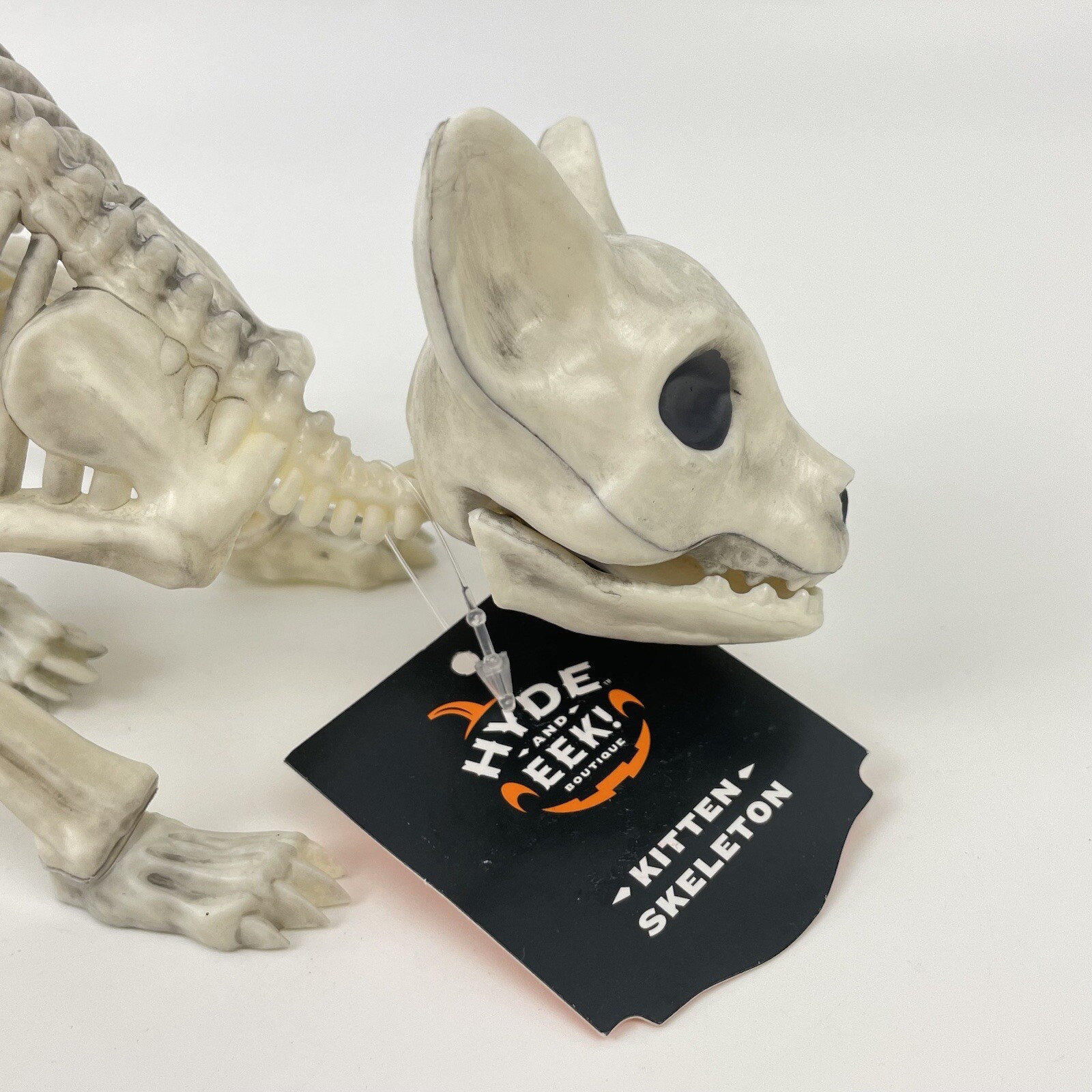 Hyde And EEK 7” Kitten Skeleton Halloween Decorative Prop for sale ...