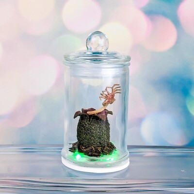 P34b Alien Jar Xenomorph Specimen Facehugger Embryo Glass Jar Movie ...