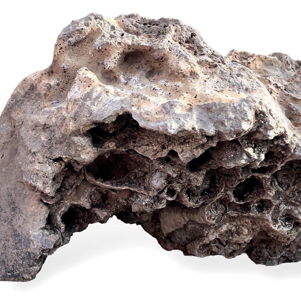 Large Aquarium Rock Decoration Fish Tank Aquascape Outcrop Coral Fossil ...