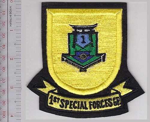 Green Beret US Army 1st Special Forces Group Airborne Flash with Unit ...
