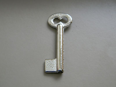 Locksmith Equipment - Skeleton Key