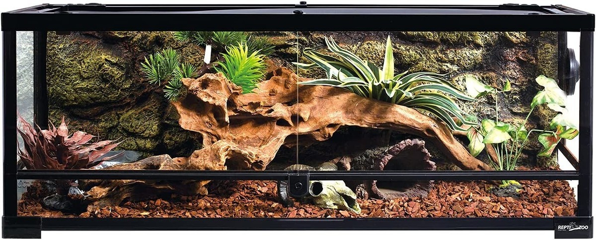 Modern Terrariums With Fish