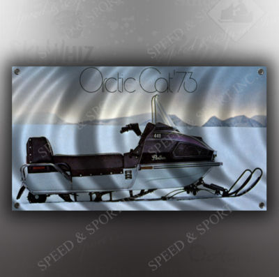 VINTAGE ARCTIC CAT 1973 SNOWMOBILE BANNER | eBay