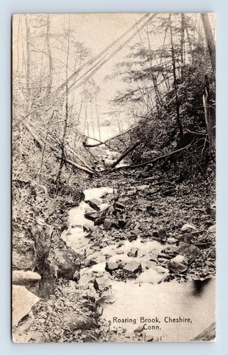 Roaring Brook Cheshire Connecticut CT 1909 DB Postcard N1 | eBay