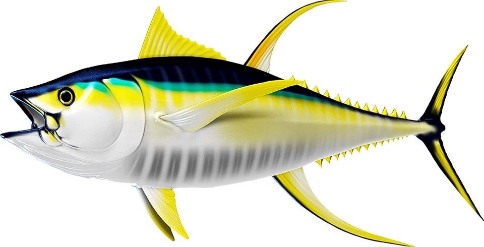 Yellowfin Tuna Vinyl Sticker Fish Decals for Boat Car Vehicle Truck ...