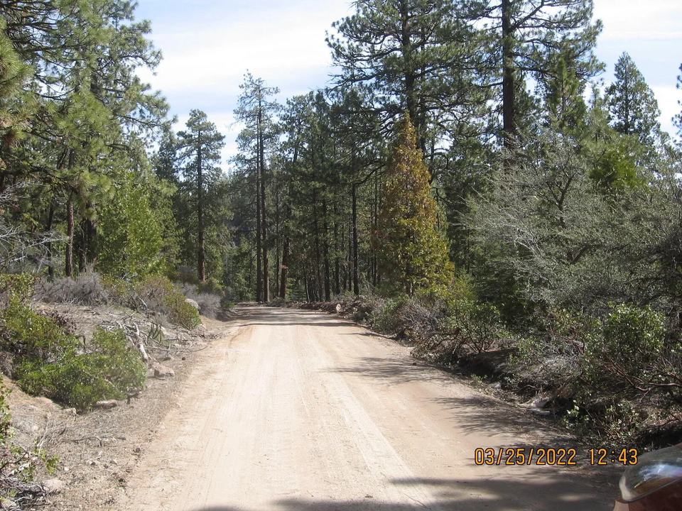 8.2 ACRES (5.1 & 3.1 ACRE LOTS) NATURAL BEAUTY A PINE TREE OASIS ...