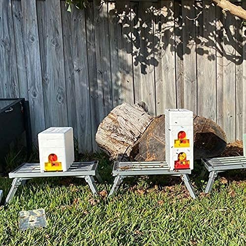 Bee Hives Boxes Plus Double Layer Queen Bee Mating Nuc Box Nuc Box for ...