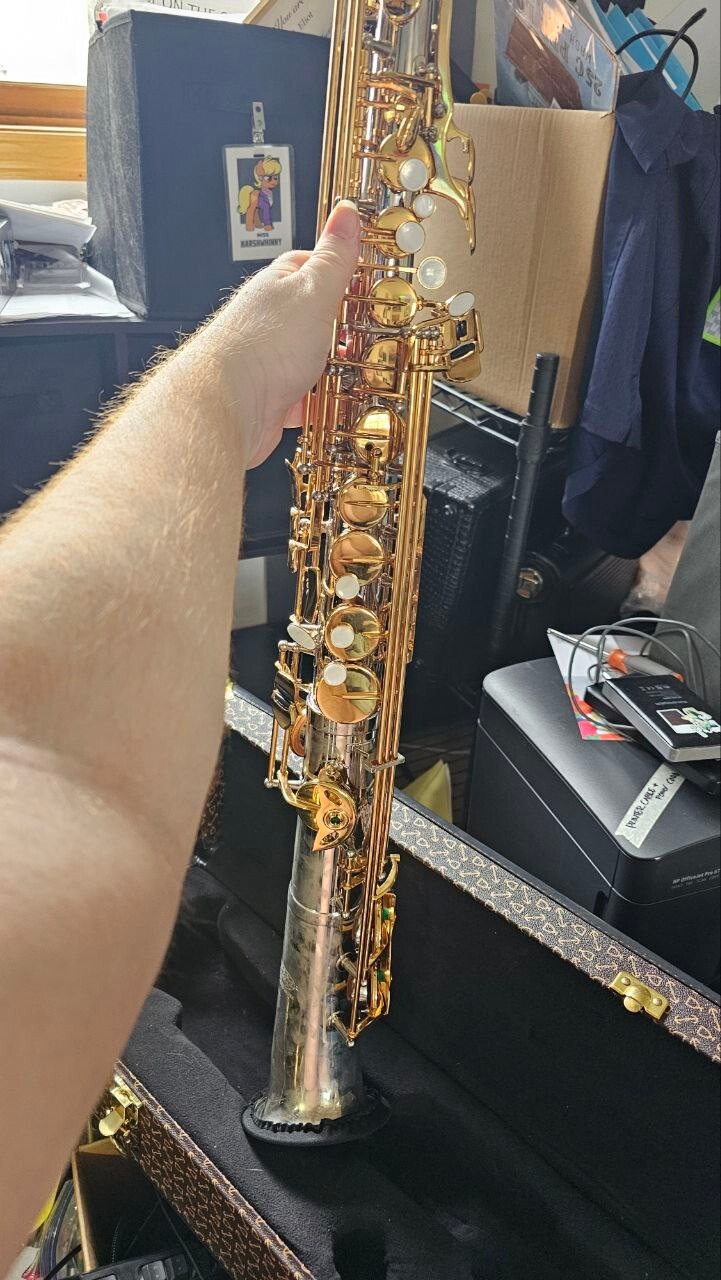 Professional Straight Alto Saxophone Silver Eb Saxello sax Curved Bell ...