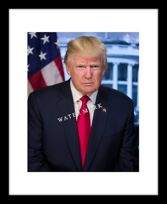 Donald Trump 8x10 Photo Print Picture Portrait US President Make ...