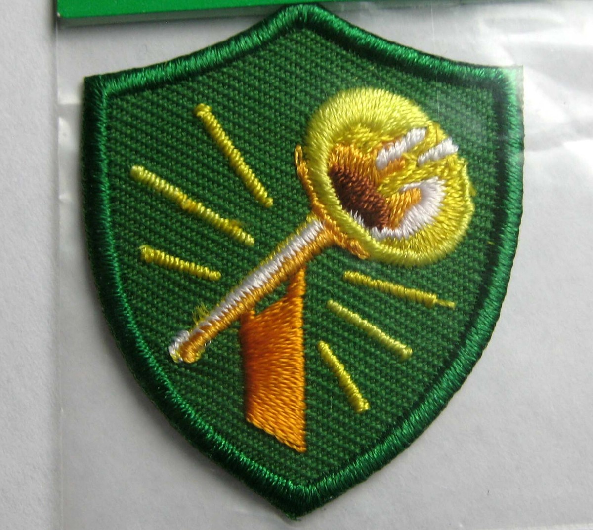 Girl Scout Troop Logo $50,000 Grant From The Steelcase Foundation